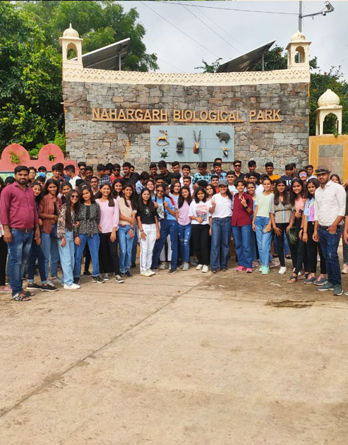 The Fabindia School